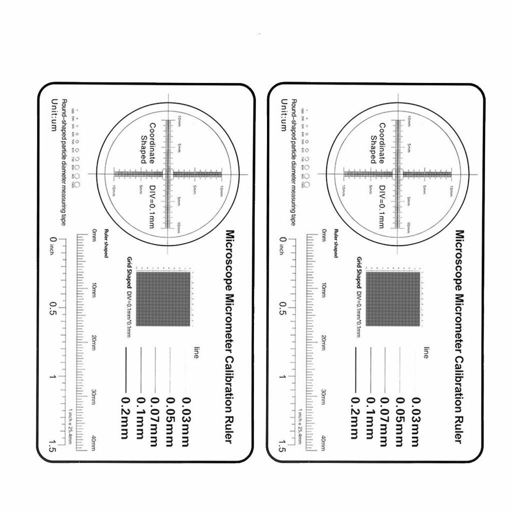 Микрометрическая шкала 0,1 мм для микроскопа, 2