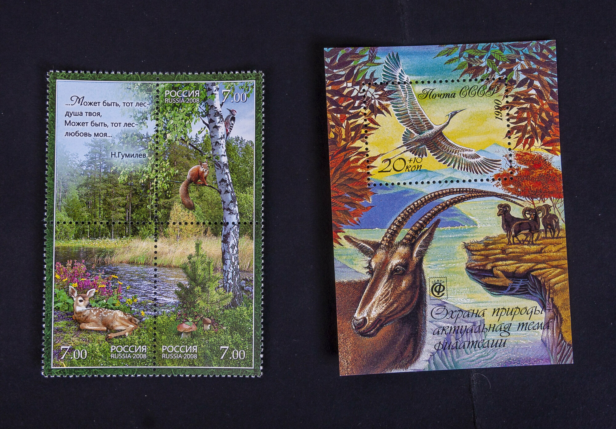 Россия 2008 Флора и фауна. Лес и его обитатели Описание: