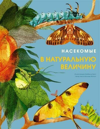 Насекомые в натуральную величину Энциклопедия Пискунова Е 0+