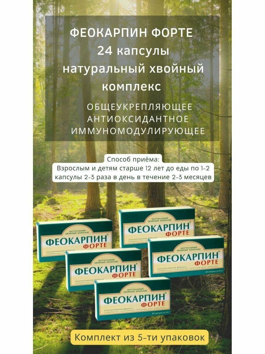 Феокарпин Форте 24 капсулы поливитамины хвойный комплекс