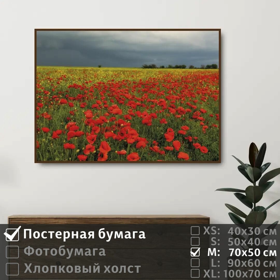 Постер на стену Весенние Полевые Цветы Маки 70х50 см ПолиЦентр