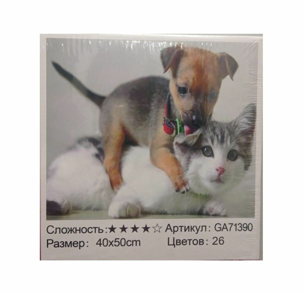 Алмазная мозаика на подрамнике Вышивка Живопись Картина стразами "Щенок и котёнок" 40*50см