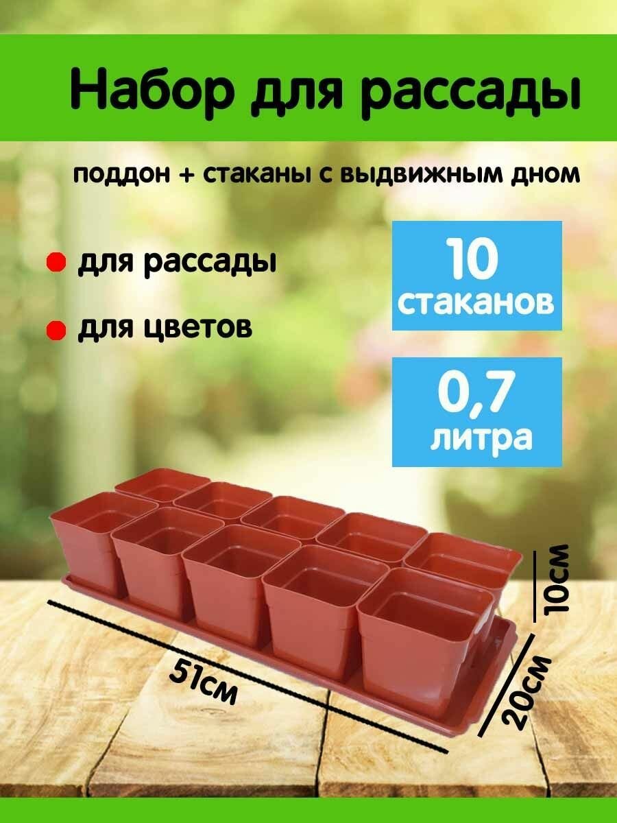 Набор для рассады "Дачник-1" 10 стаканов 0,7л + поддон, терракотовый, Сузун