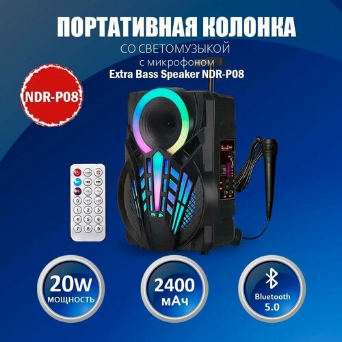 Колонка портативная беспроводная Extra Bass Speaker NDR-P08, черный ...