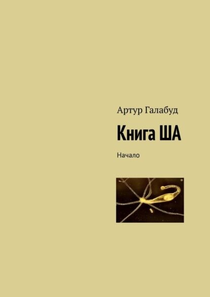 Книга ША. Начало [Цифровая книга]