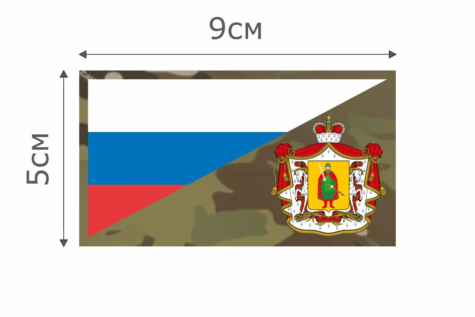 Ф062MC Нашивка , патч (шеврон) MC Флаг РФ Рязанская область 5*9 см