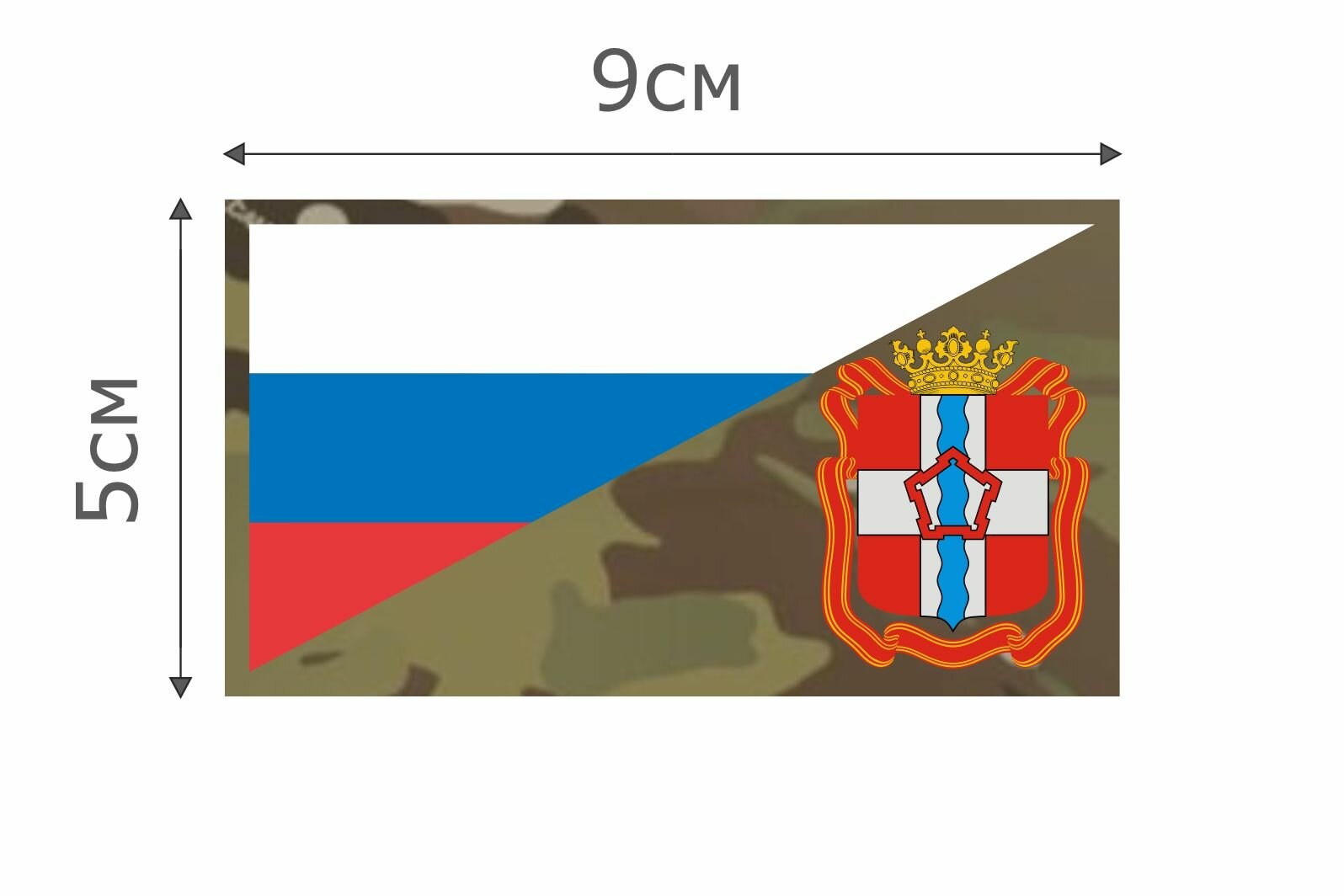 Ф055MC Нашивка , патч (шеврон) MC Флаг РФ Омская область 5*9 см