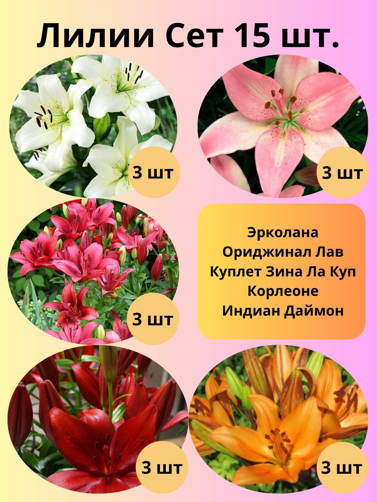 Лилия, луковицы для посадки, сет 15 штук