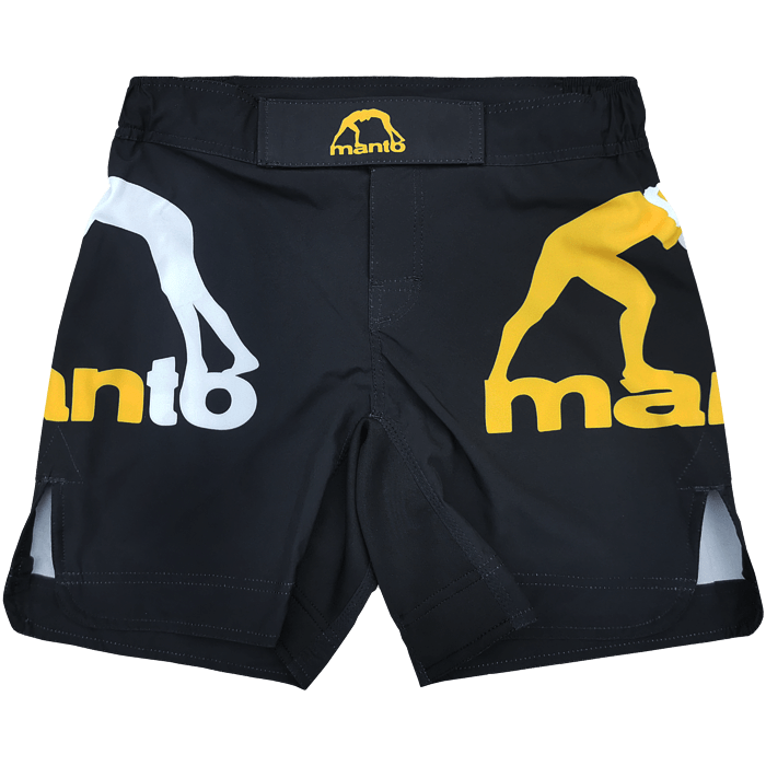 Шорты спортивные Logo