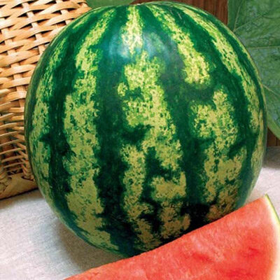 Семена Арбуза Кримбиг F1 (0,5 гр.)