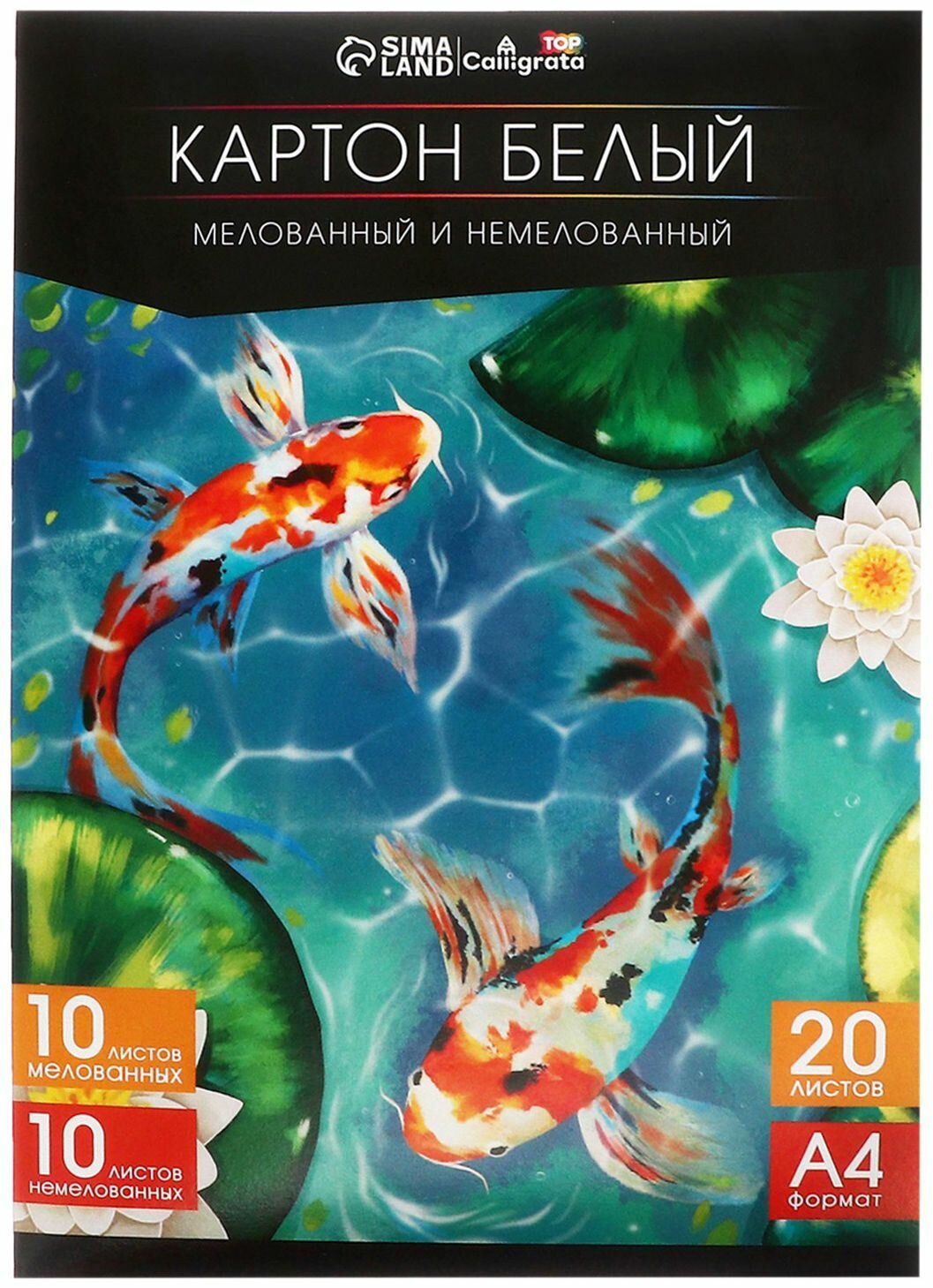 Картон, набор листов: 10 мелованного и 10 немелованного, плотность 200 г/м2, для поделок и аппликаций, детского творчества и рукоделия, для школы и уроков труда