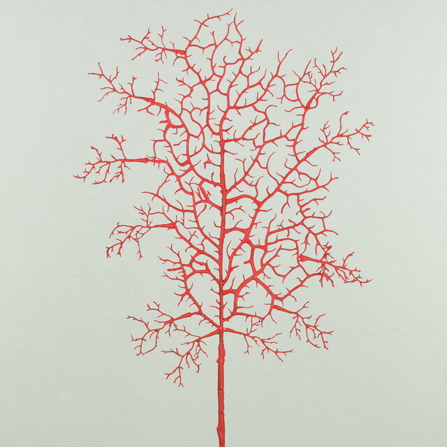 Искусственная ветка Asciutta 63 см красная, EDG, 232186-40