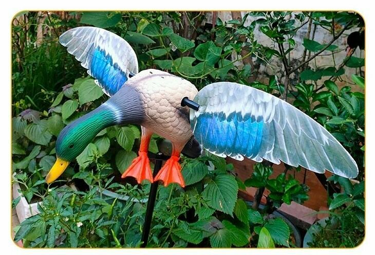 Махокрыл, подсадная утка с аккумулятором, приманка