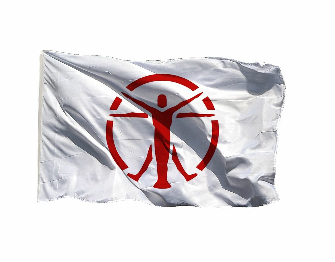 Флаг Института из Fallout Фоллаут 70х105 см на шёлке для ручного древка