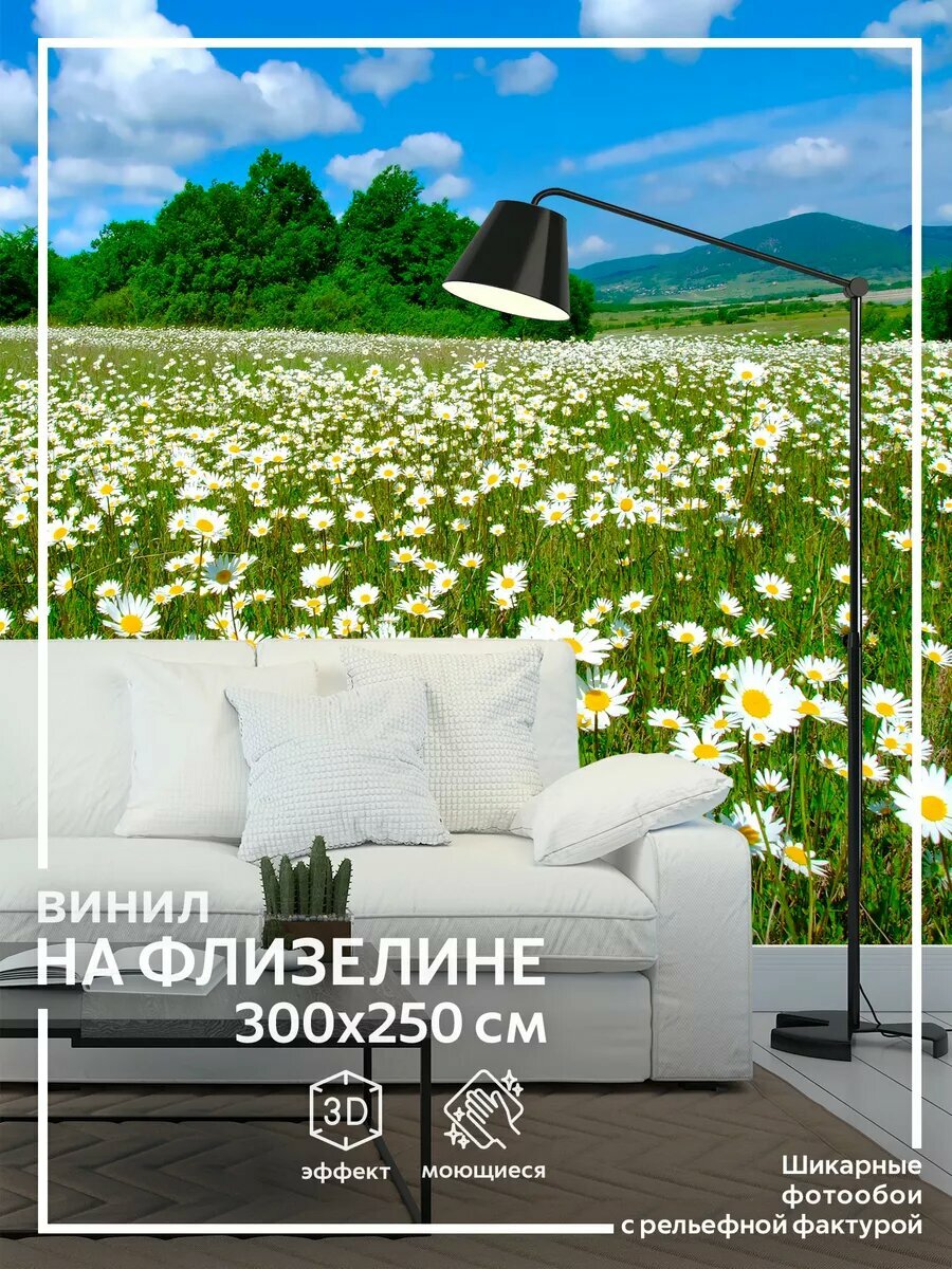 Фотообои Ромашковое поле в спальню в зал в коридор 300х250