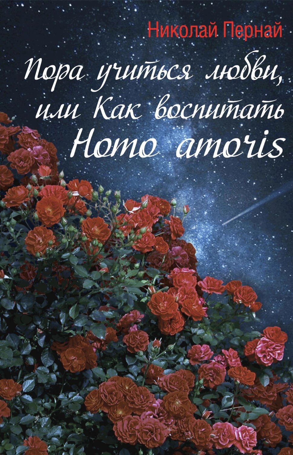 Пора учиться любви, или Как воспитать Homo amoris [Цифровая книга]