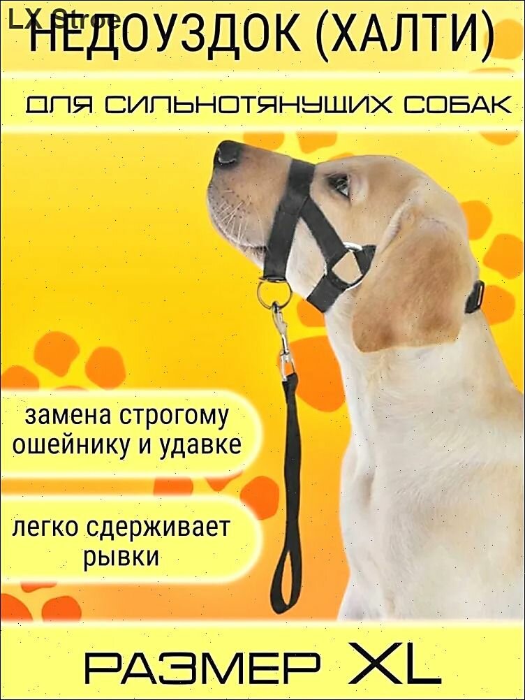 Универсальный комфортный намордник-халти для собак всех пород: Безопасность и легкость в использовании