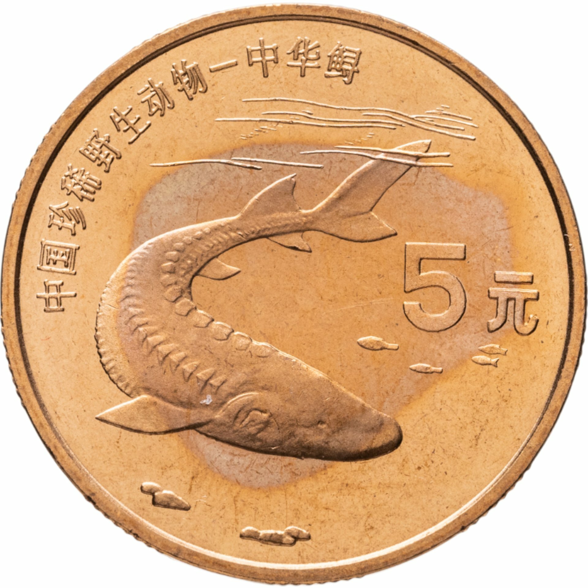 Китай 5 юаней yuan 1999 "Красная книга - Осетр", Медь, в сохранности UNC