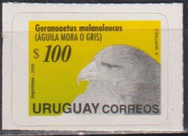 Почтовые марки Уругвай 2006г. "Заказная почта" Птицы MNH