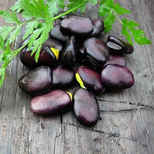 Бобы овощные Русские черные (ЦВ) 10шт. (10 шт.), Гавриш, Россия