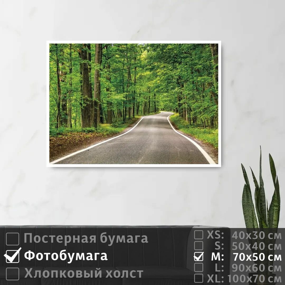 Постер на фотобумаге Дорога Уходящая Вдаль В Летнем Лесу 70х50 см ПолиЦентр