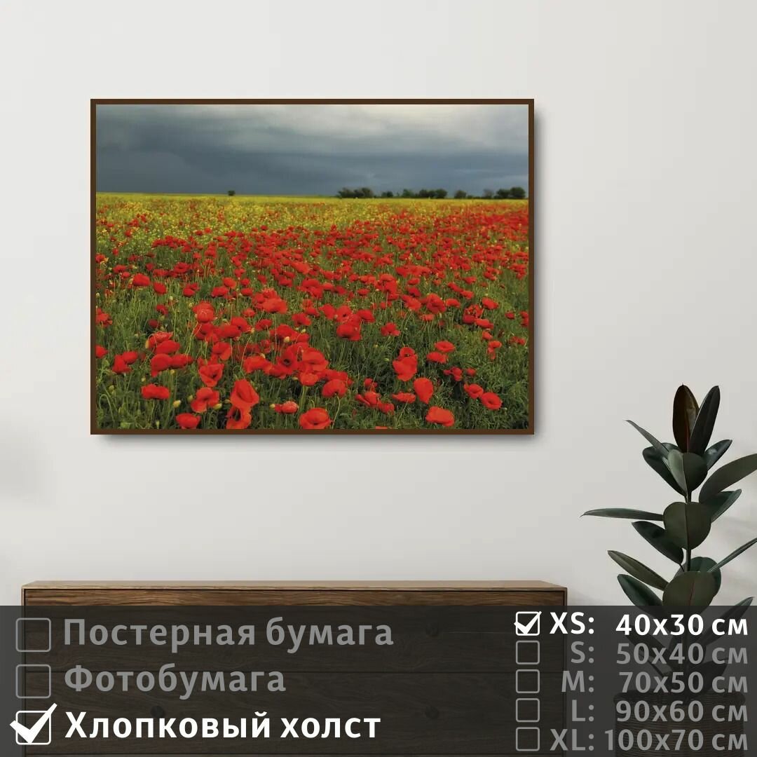 Постер на холсте Весенние Полевые Цветы Маки 40х30 см ПолиЦентр