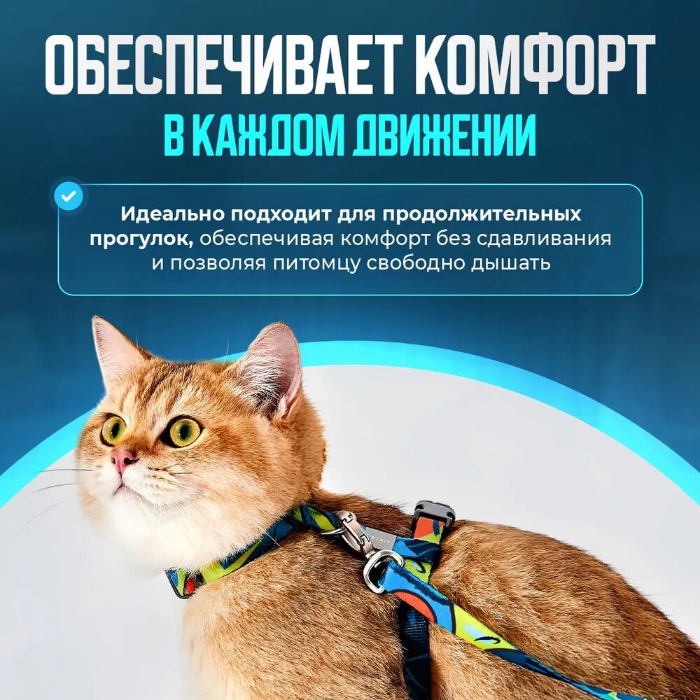Шлейка с поводком для кошек PETKIT, для прогулок, для посещений ветклиники, со светоотражающими элементами, размер M, цвет синий — фото 1