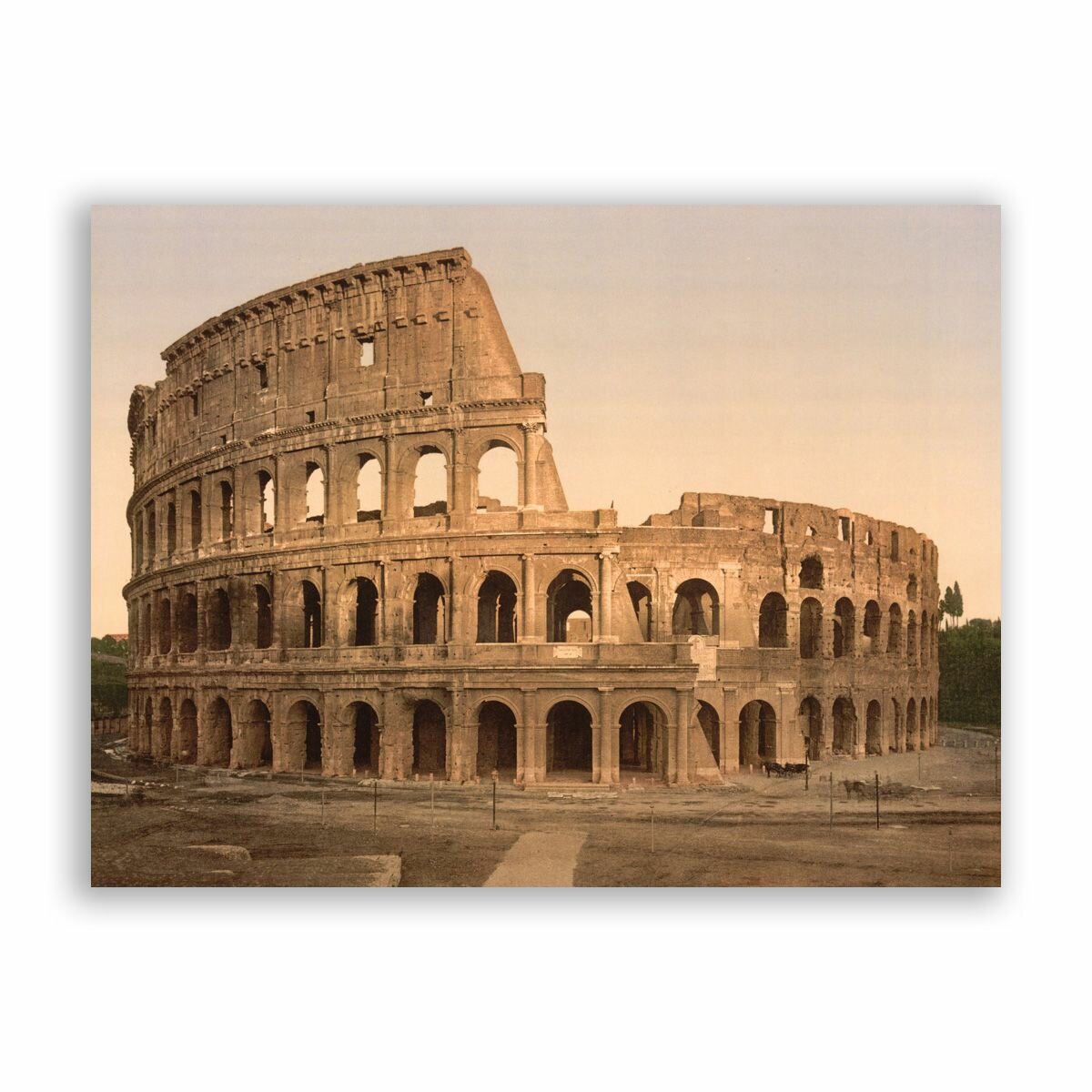 Постер, плакат на бумаге / Exterior of the Coliseum, Rome, Italy / Размер 60 x 80 см