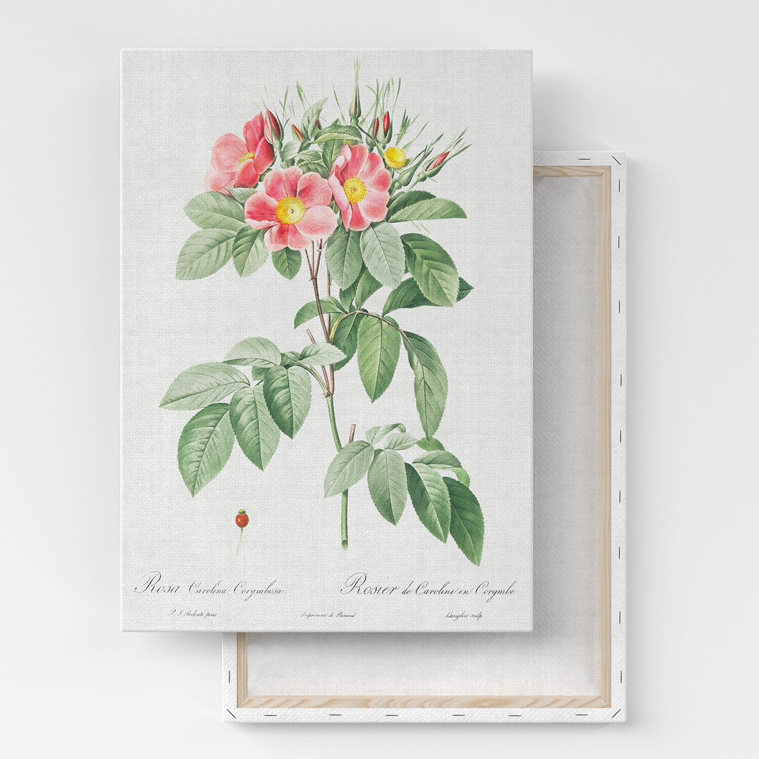 Картина на холсте, репродукция / Пьер-Жозеф Редуте - Pasture Rose / Размер 60 x 80 см