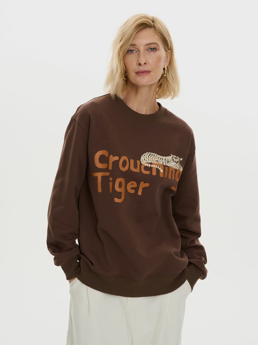 Толстовка Толстовка свитшот Премиум с 3D рисунком коричневая