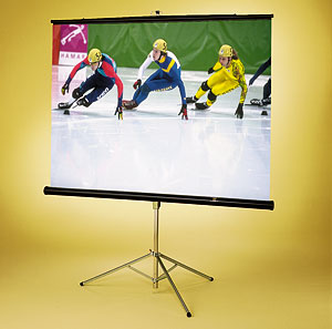 Экран Consul NTSC (3:4) 183/72" (6') 108*144 XT1000E (MW)