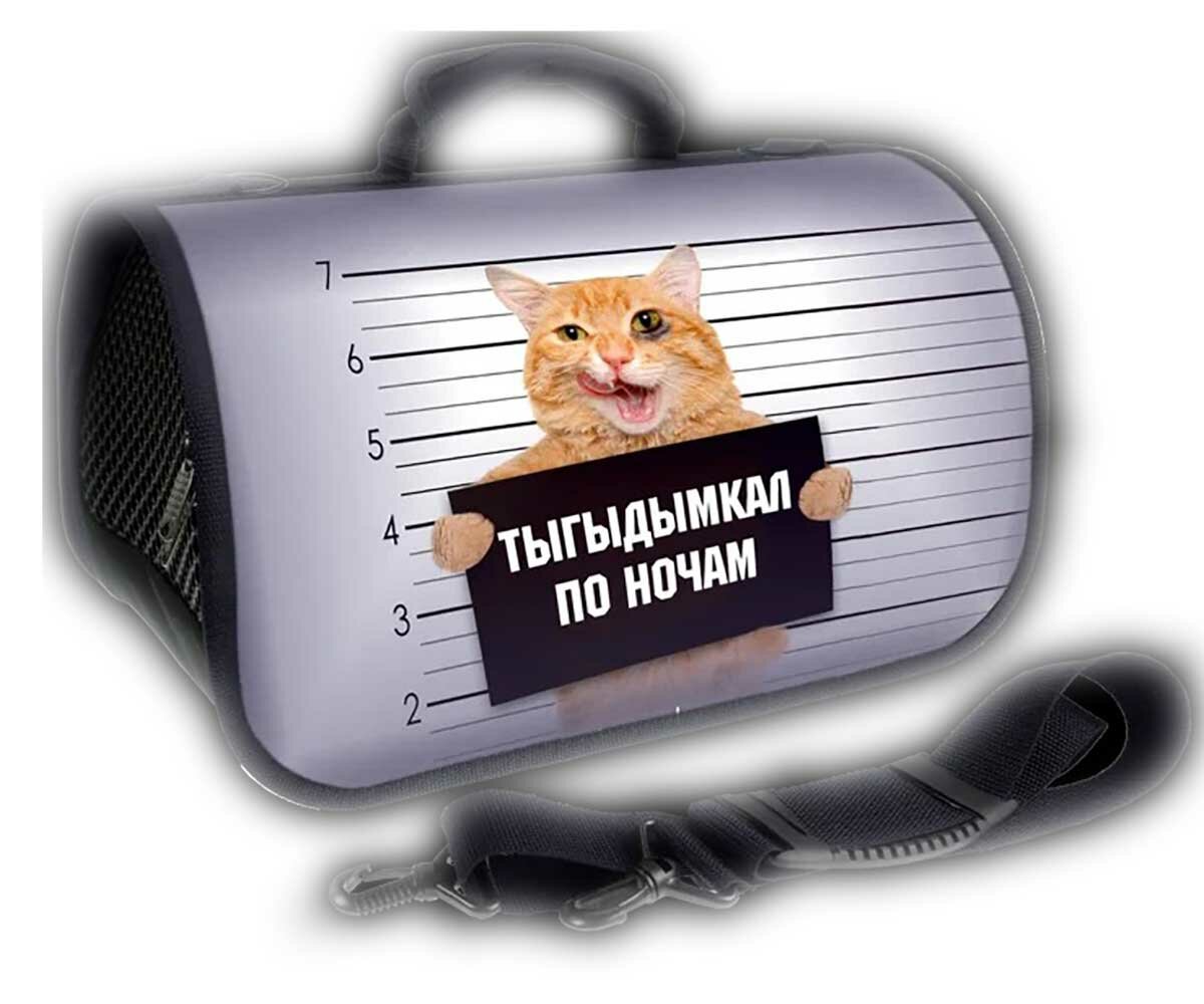 Сумка-переноска brava бандит zd-3-117-322-2 43*25*24см