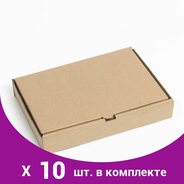 Коробка для пиццы, крафт, 30 х 20 х 5 см (10 шт)