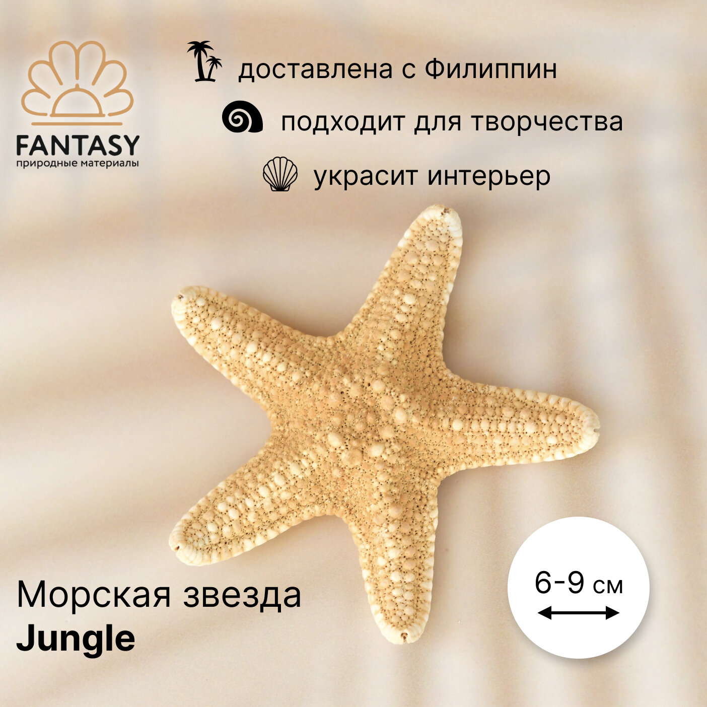 Морская звезда натуральная FANTASY Jungle, 6-9 см, 1 шт.