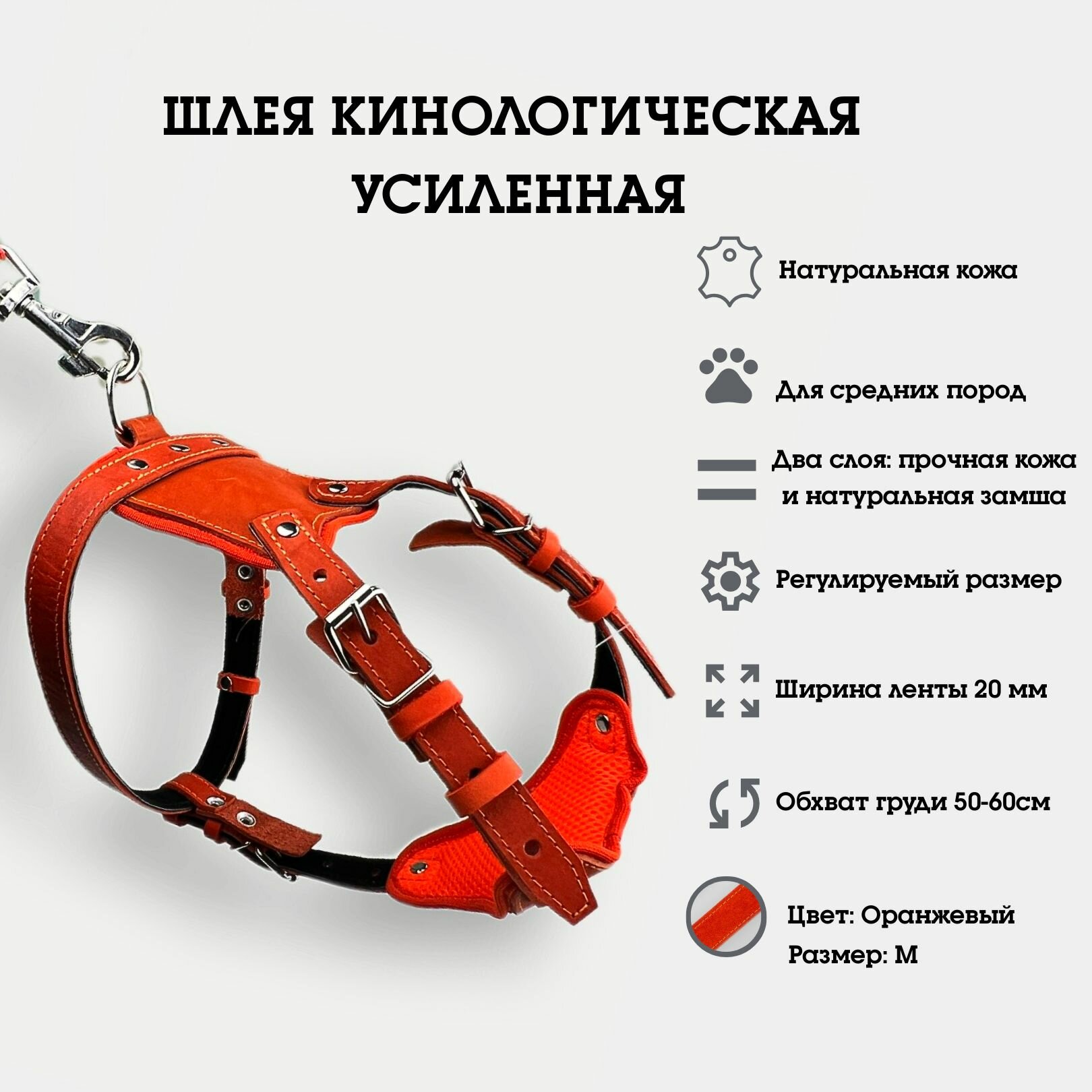 Шлея кинологическая из натуральной кожи, два слоя+сетка, усиленная, регулируемая M