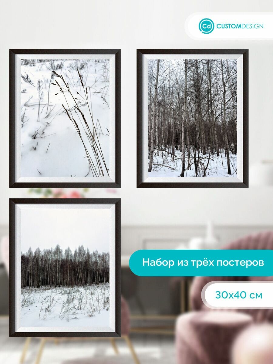 Постеры на стену для интерьера Природа 30х40 см 3 штуки