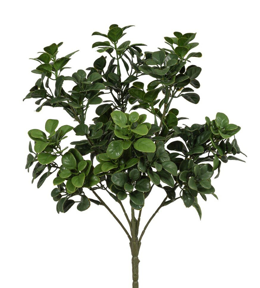 Fiebiger Floristik 108537-800 Ветка декоративная "Японский самшит", 35 см