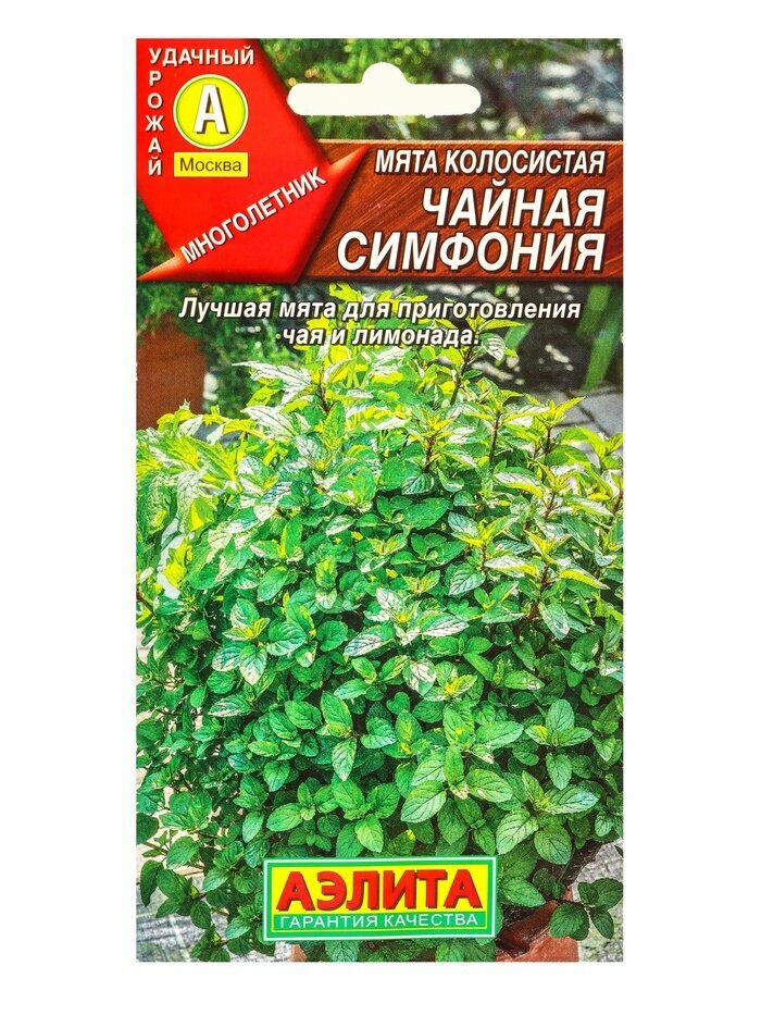 Семена Мята колосистая Чайная симфония, Ц/П,0,05 г 10945023