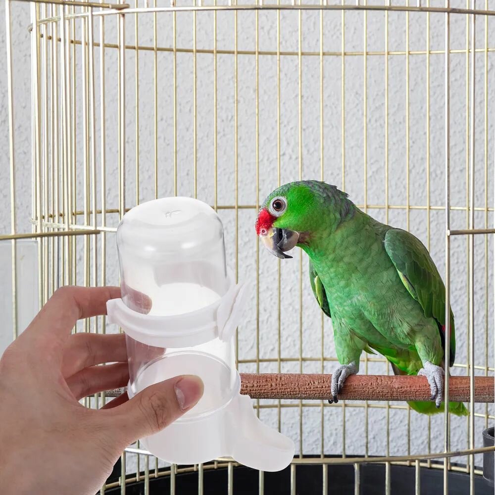 Белая пластиковая поилка-автомат для клеток с объемом 240 мл для попугаев и птиц
