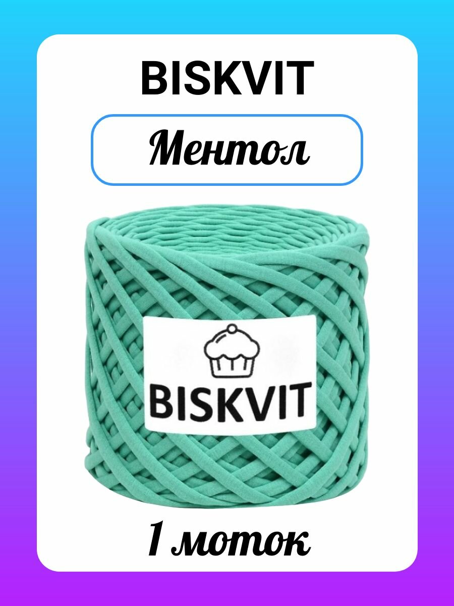 Пряжа Biskvit Ментол, 330 г, 110 м, 1 штука