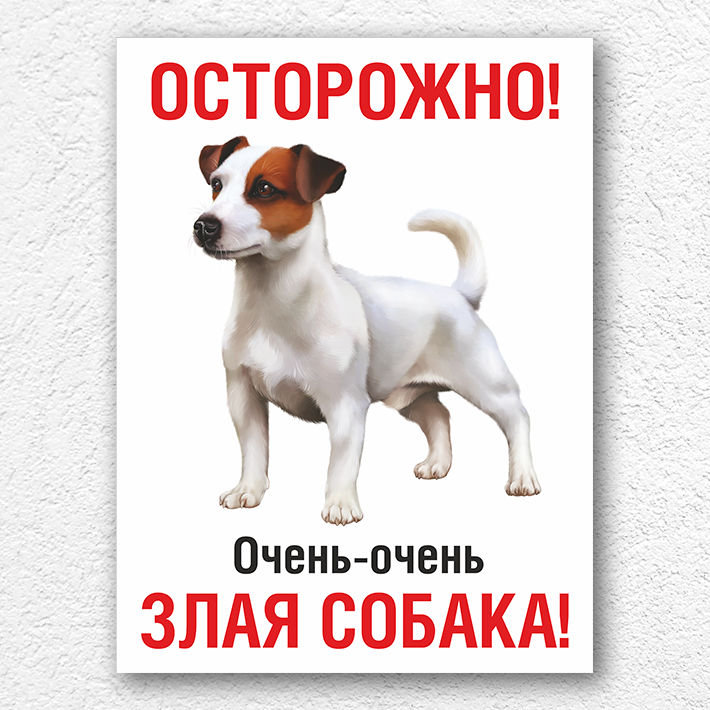 Табличка "Очень злая собака, джек-рассел-терьер", 40х30 см, ПВХ