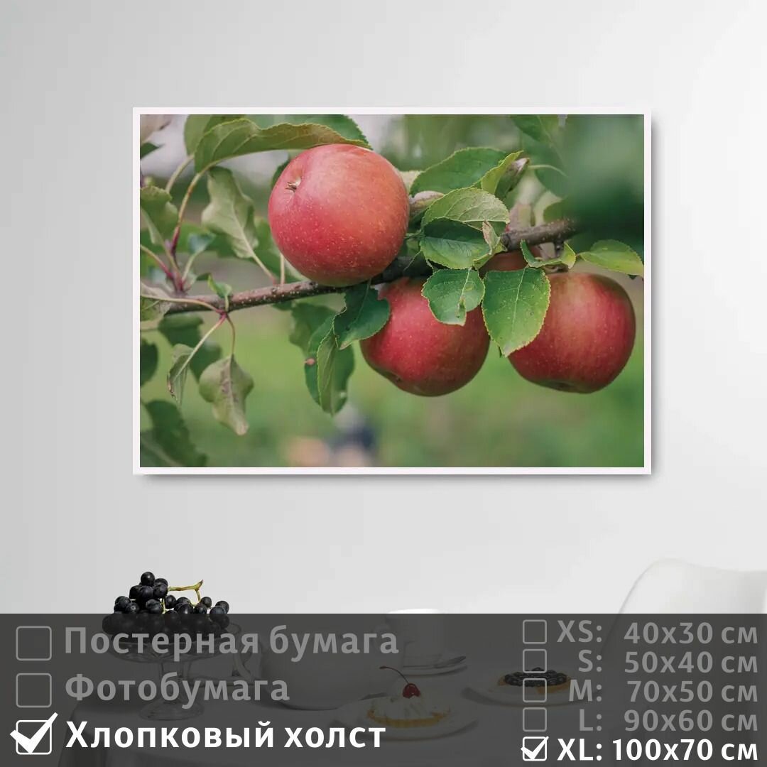 Постер на холсте Красные Яблоки На Ветке Яблони 100х70 см ПолиЦентр