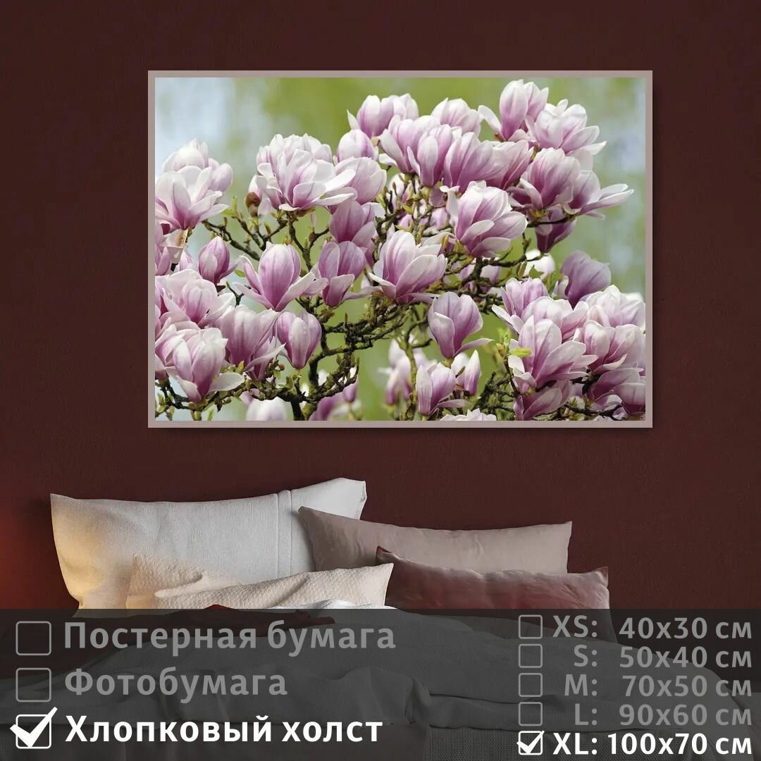 Постер на холсте Ветка Магнолии 100х70 см ПолиЦентр