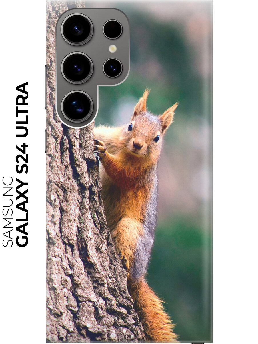 Силиконовый чехол на Samsung Galaxy S24 Ultra / Самсунг С24 Ультра с рисунком "Белочка"