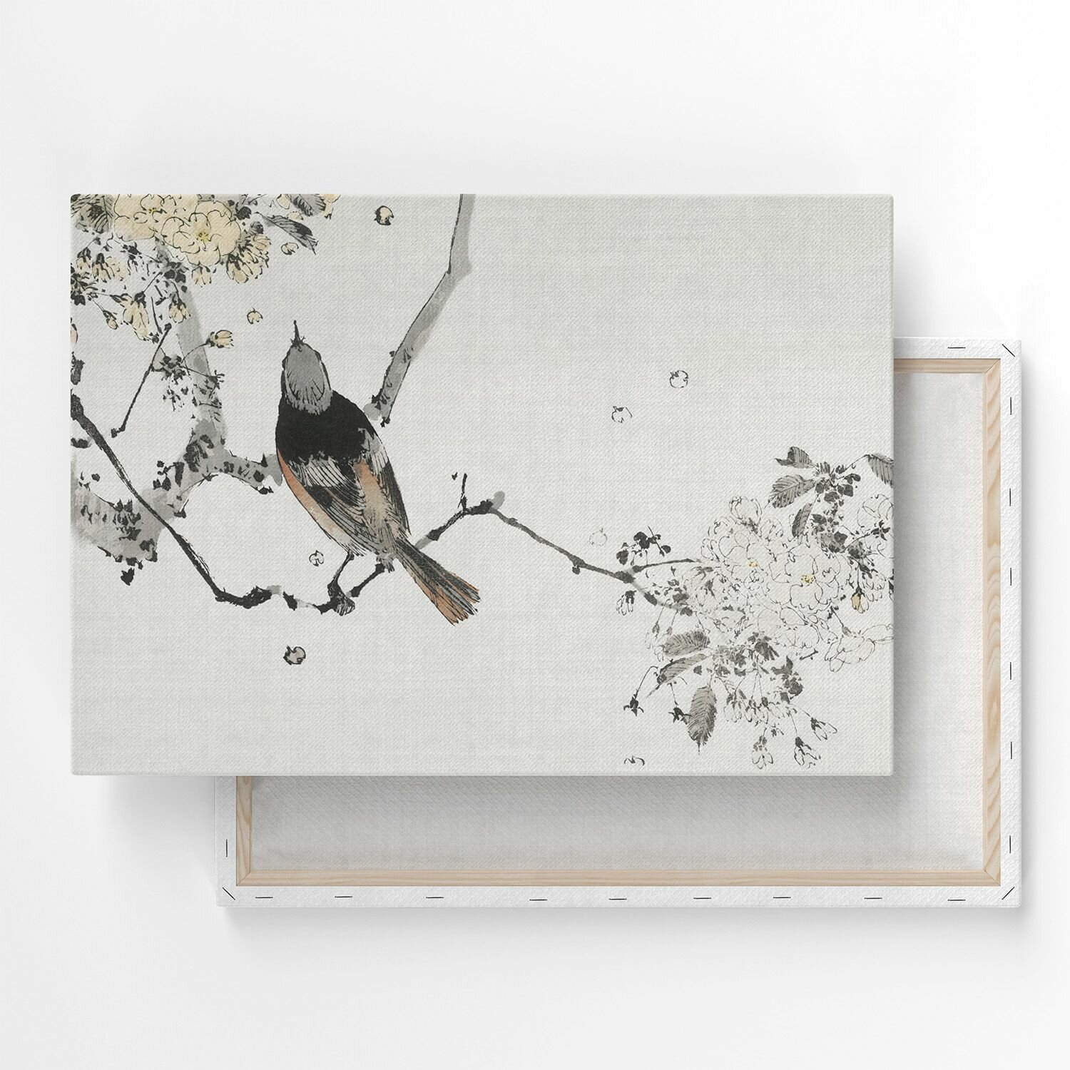 Картина на холсте, репродукция / Ватанабэ Сэйтей - Perched Japanese swallow / Размер 40 x 53 см