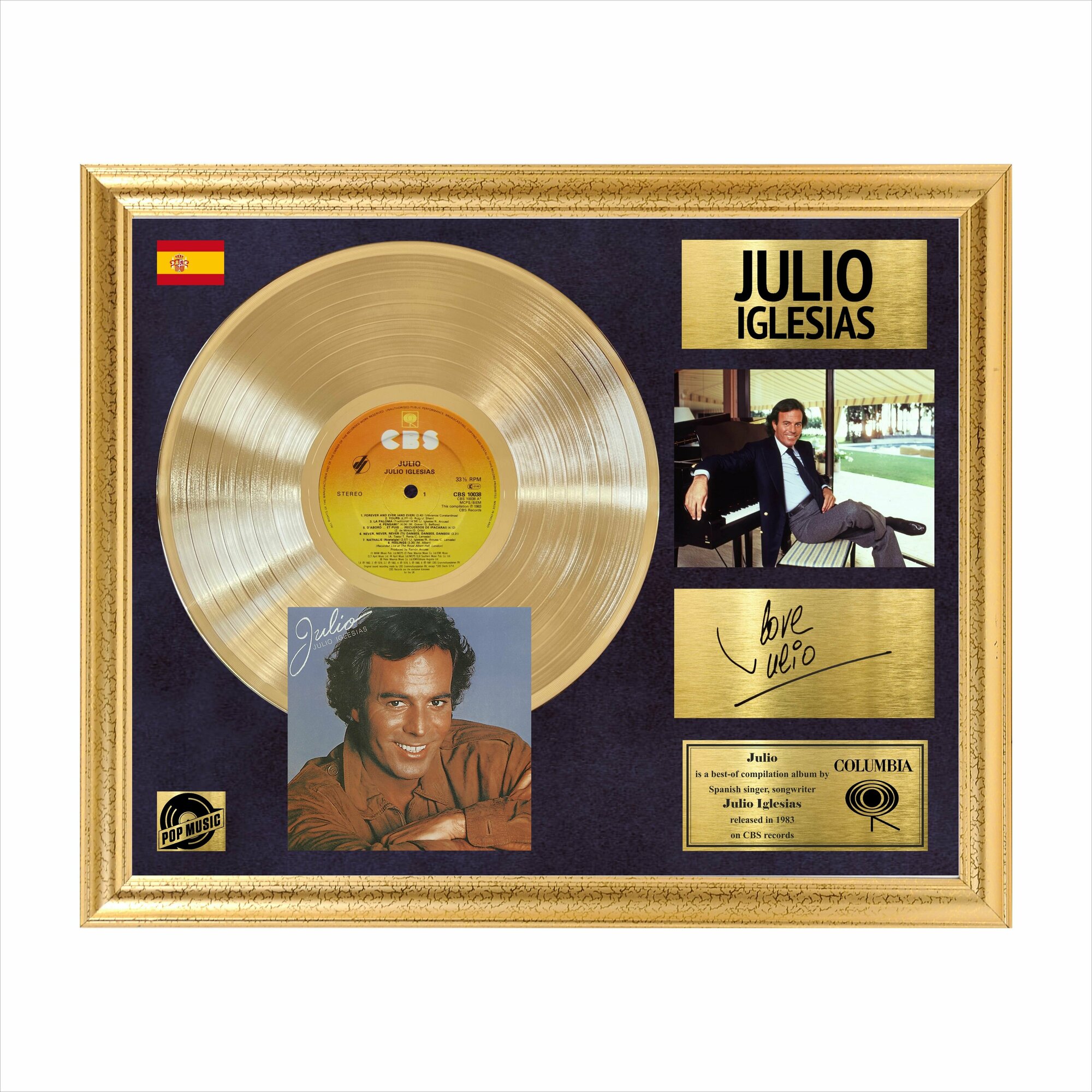 Julio Iglesias Julio золотой диск в рамке 45х55см