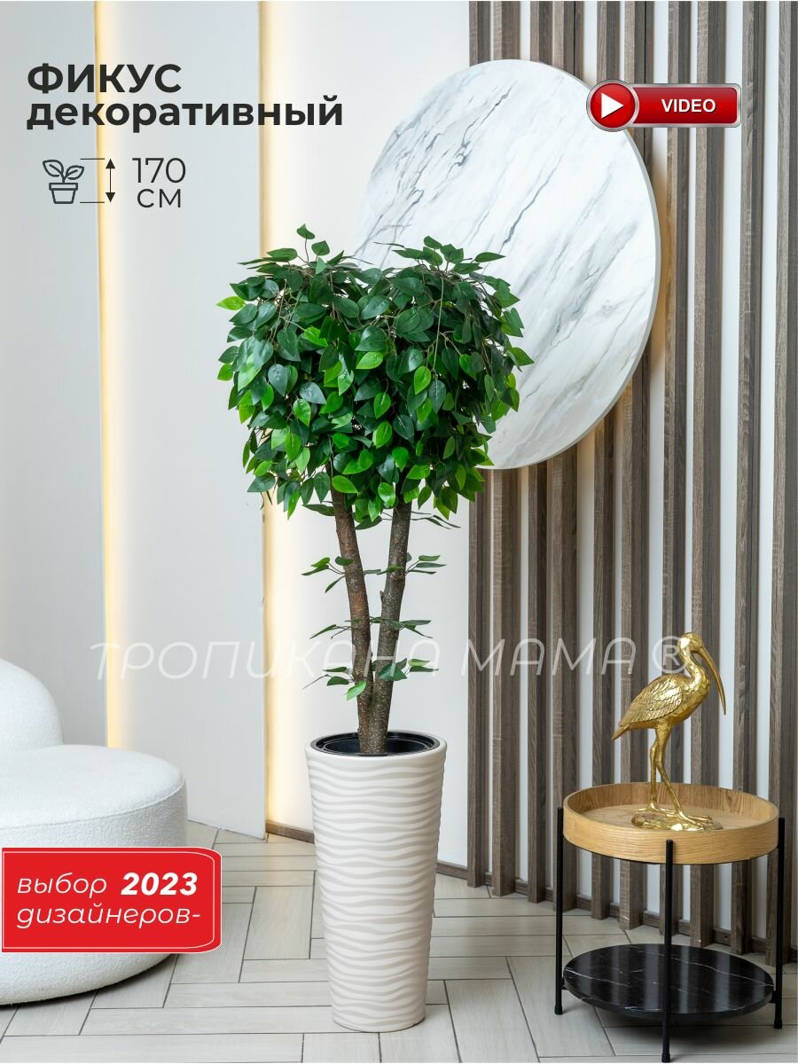 Искусственный цветок фикус в кашпо