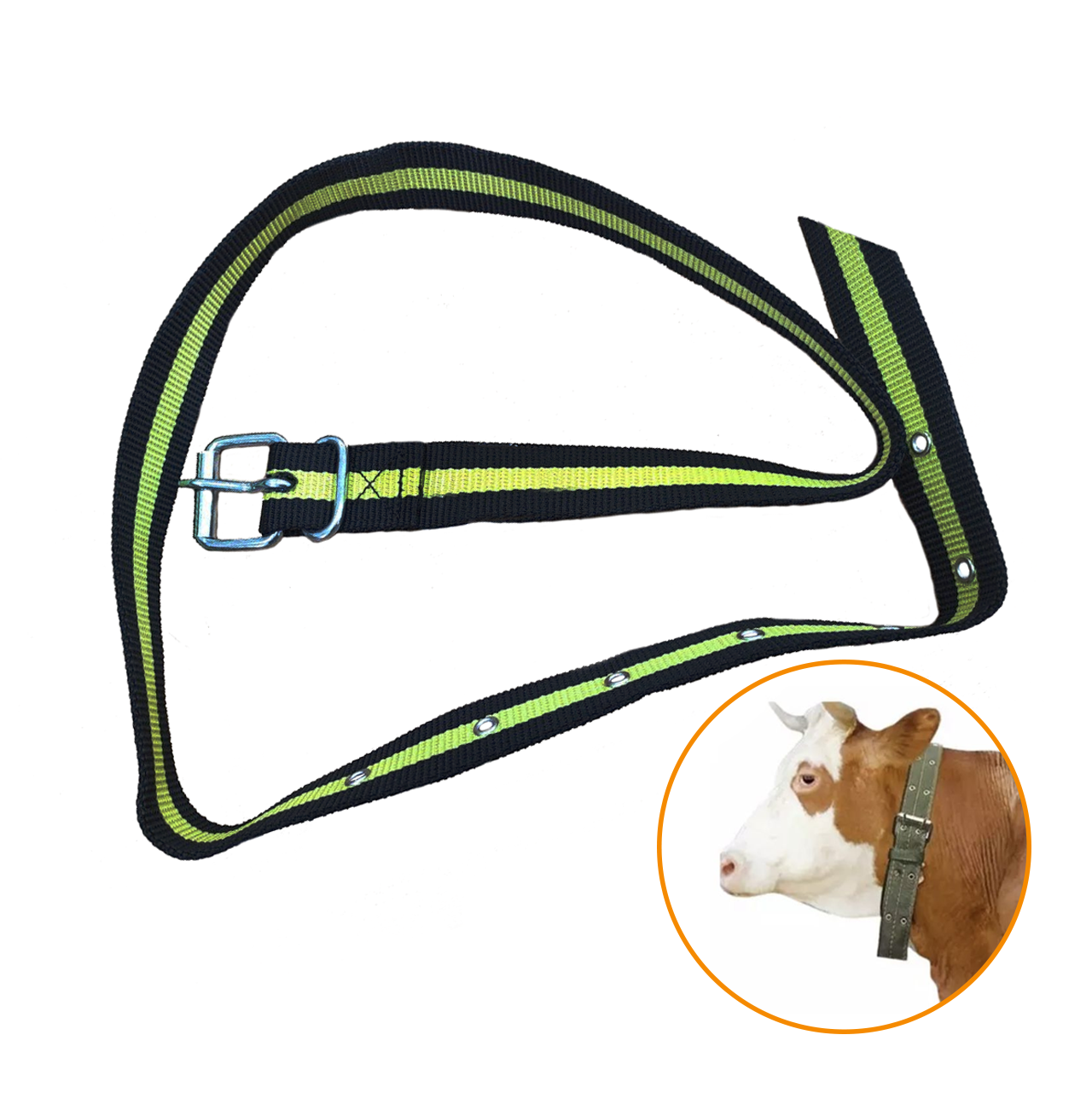 Ошейник для коров, быков 145х4х0,2 см, ременная пряжка, нейлон