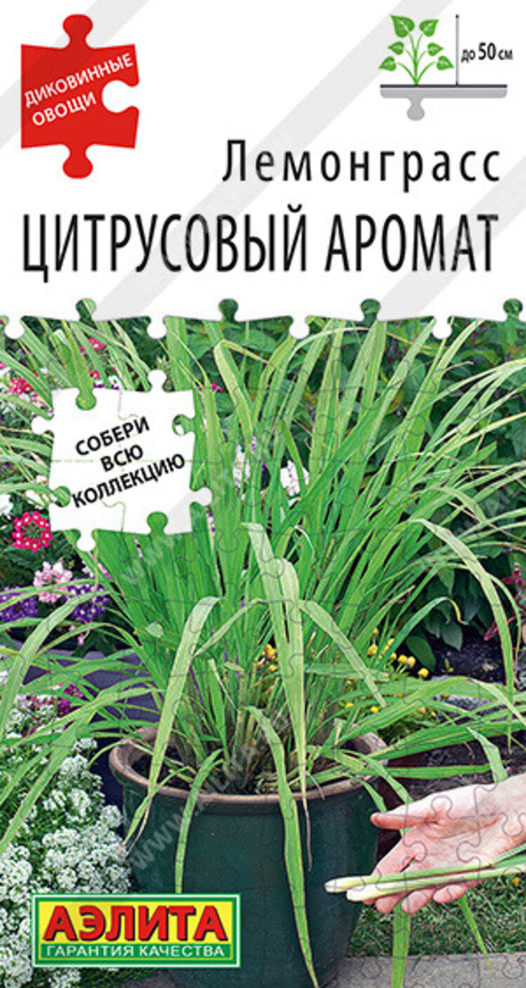 Семена Лемонграсс Цитрусовый аромат (0,03 г), Агрофирма Аэлита