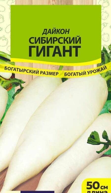 Дайкон сибирский гигант